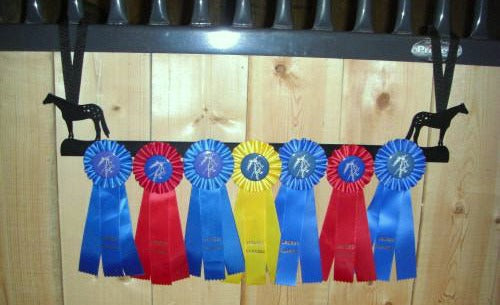 Showoff Ribbon Rack - Appaloosa - Stall Rack – Showoff Ribbon Racks